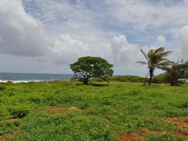 24-1826 - Off Route 4, Talofofo, GU 96915 | Properties | Guam Real ...