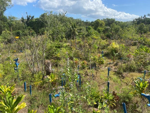 24-4171 - LOT 176NEW-1-3, MongMong-Toto-Maite, GU 96910 | Properties ...