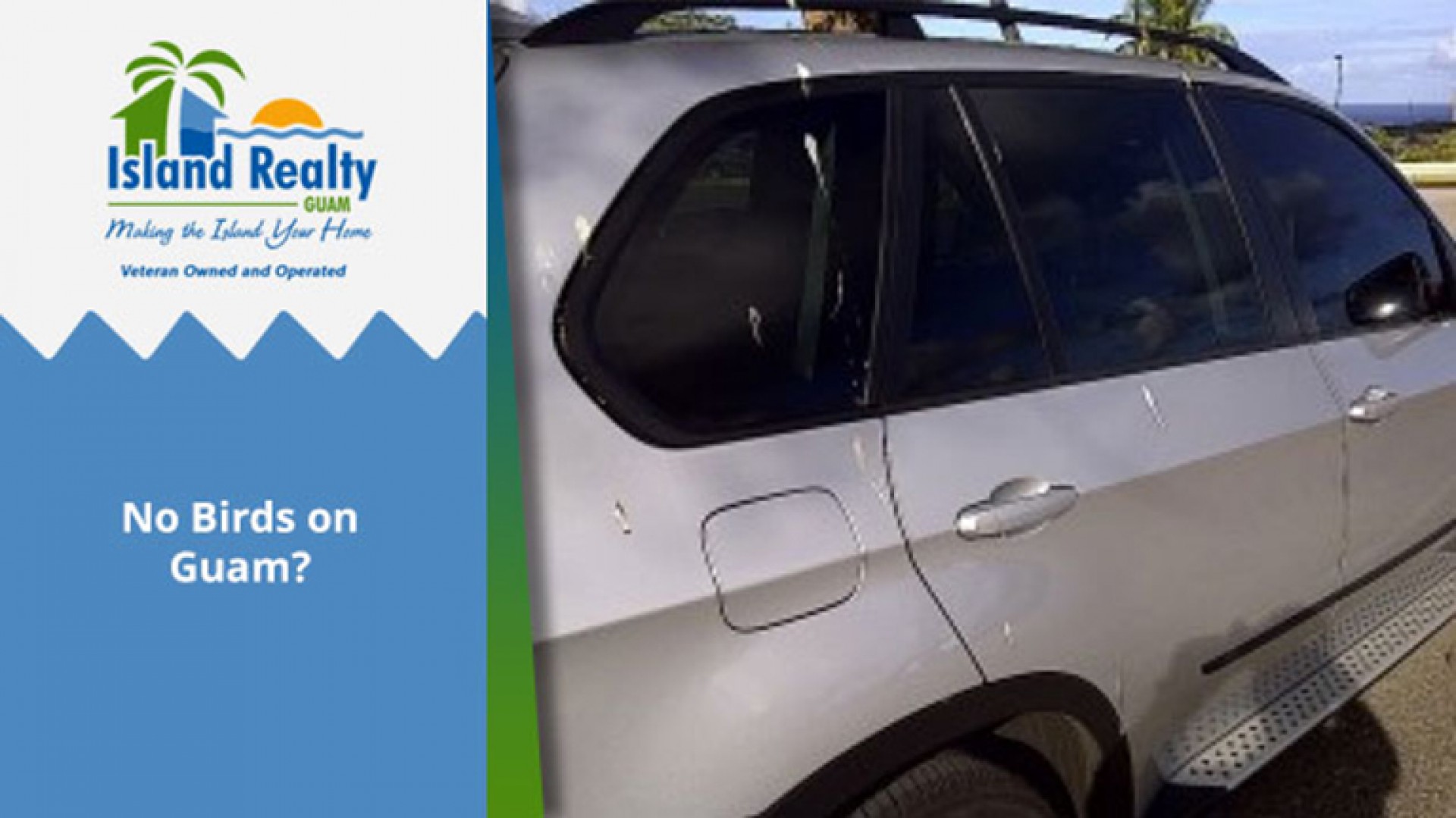 No Birds on Guam? | Guam Real Estate | Island Realty